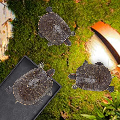 YOLUFER Reptile Food Water Bowl Plate Dish for Tortoise Crawl Pet Drinking and Eating Hallow Water Dish for Reptiles (Size3-L)