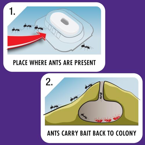 STEM Liquid Ant Baits, Kills The Queen and Colony, for Indoor Use, 8 Spill Proof Bait Stations
