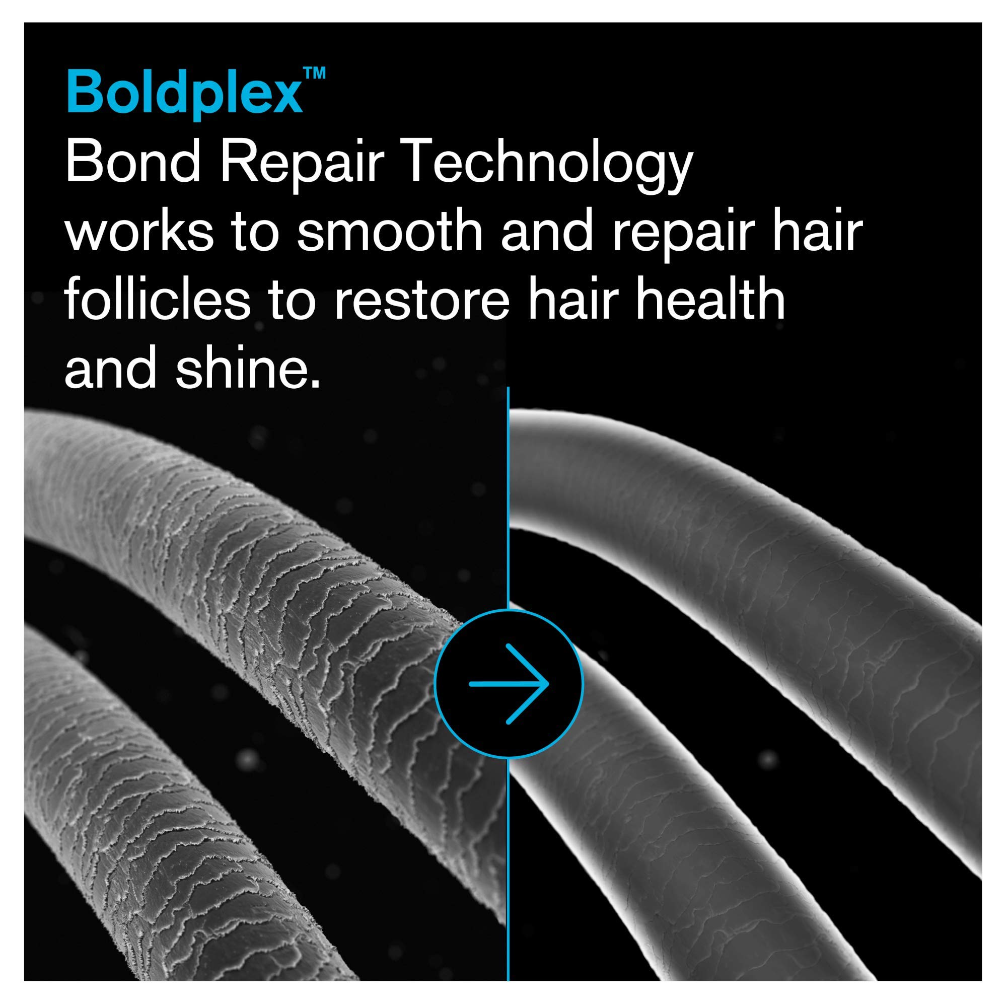 Tea Tree Shampoo & BoldPlex 3 Bond Restore Treatment Bundle