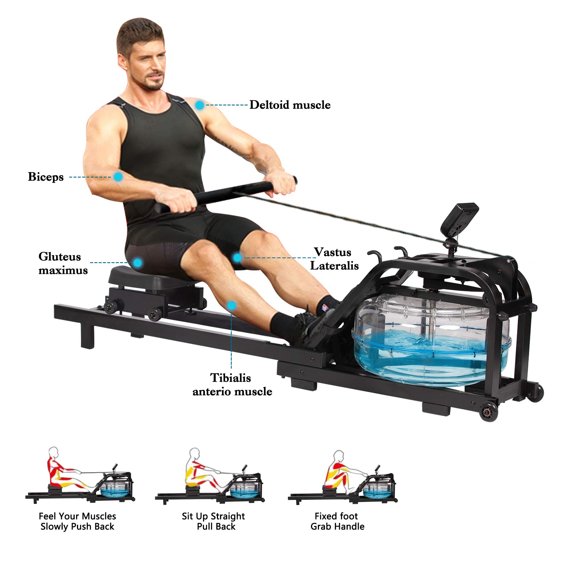 LUCKYERMORE Water Rowing Machine with LCD Monitor for Home/Gym, 265 Lbs Weight Capacity, Adjustable, Space Saving, Mobile, Double Track Indoor Rower Fitness, Black