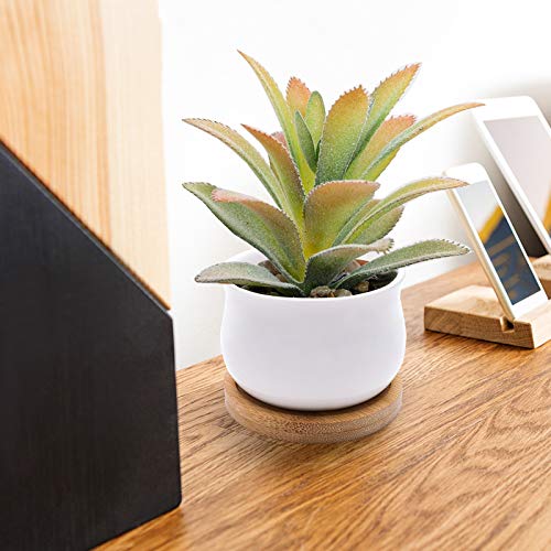 SHECIPIN Succulent Plant Pot, White Mini 2.6 inch Ceramic Flower Planter Pot with Bamboo Tray, Pack of 8 - Plants Not Included