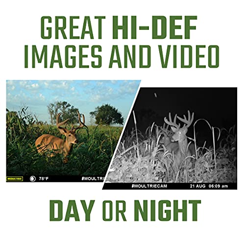Moultrie Delta Cellular Trail Camera Verizon