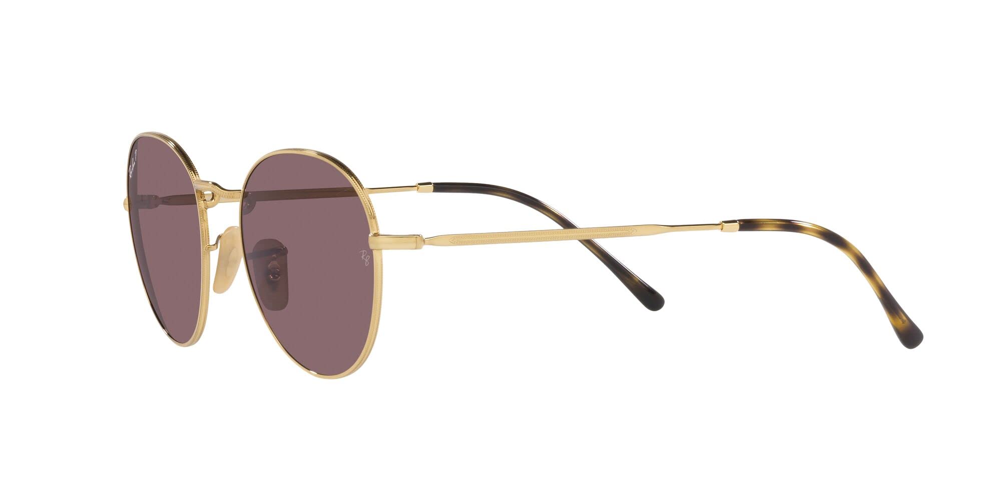 Ray-Ban RB3582 David Round Sunglasses, Gold/Dark Violet Polarized, 51 mm