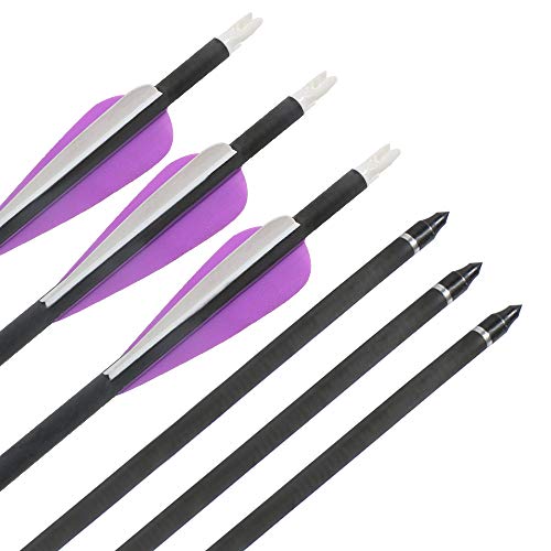 IRQ Archery 31Inch Carbon Arrow Practice Hunting Arrows with Removable Tips for Compound & Recurve Bow(Pack of 12)