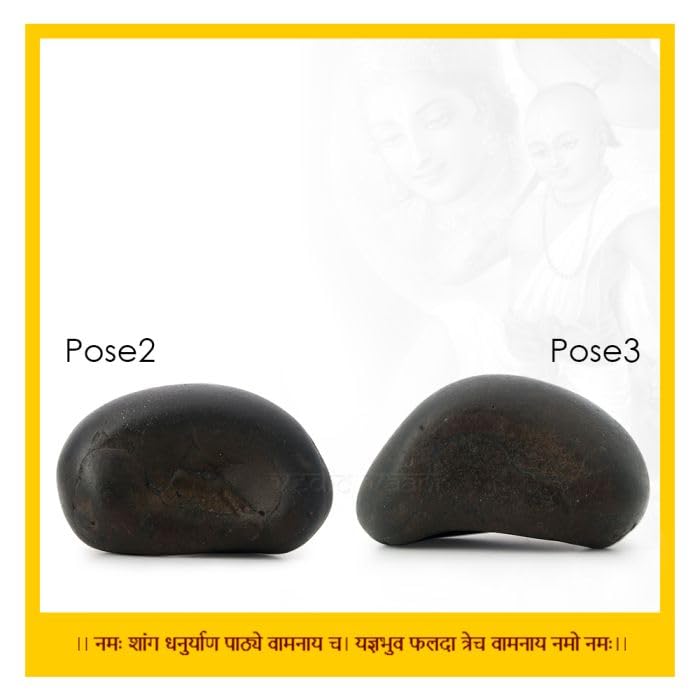 Vedic Vaani Vaman Vishnu Rupam Shaligram Shila |Shaligram Paste|Vridavan Tulsi Attar| Tulsi mala (Pack of 4)