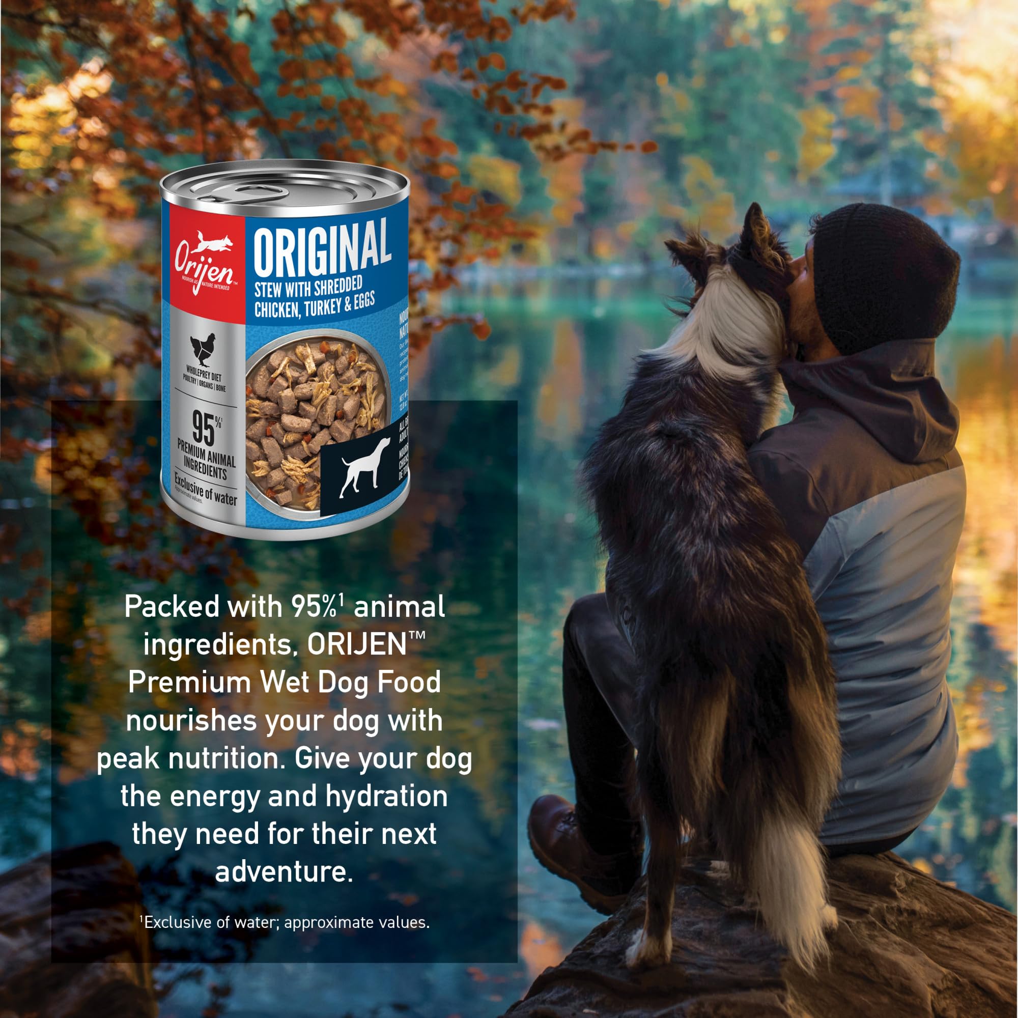 ORIJEN Original Stew Recipe with Chicken, Turkey & Eggs Wet Dog Food, WholePrey Ingredients, 12.8oz (Case of 12)