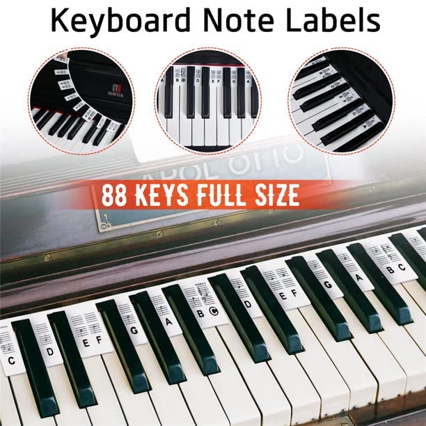 Removable Piano Keyboard Note Labels - Silicone Piano Notes Guide for Beginner, Piano Key Music Notes Letter Label Without Stickers for 88-Key Full Size, Reusable and Comes with Box (Black and White)