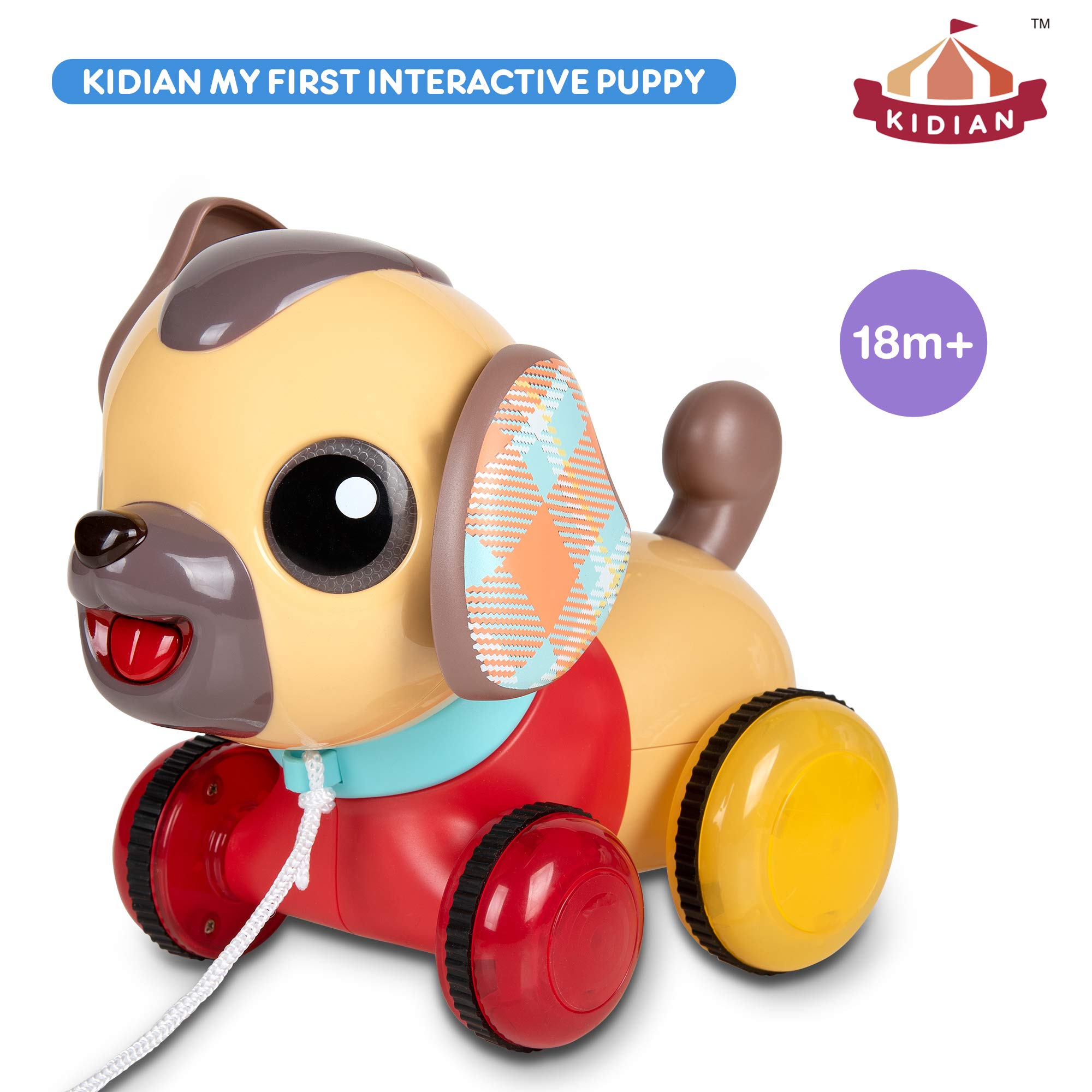 Kidian Toy Dog - Pull Along Dog Toy for Babies and Toddlers, Interactive Pull Along Puppy, Toy Dog for Kids by Flybar (Brown Puppy)