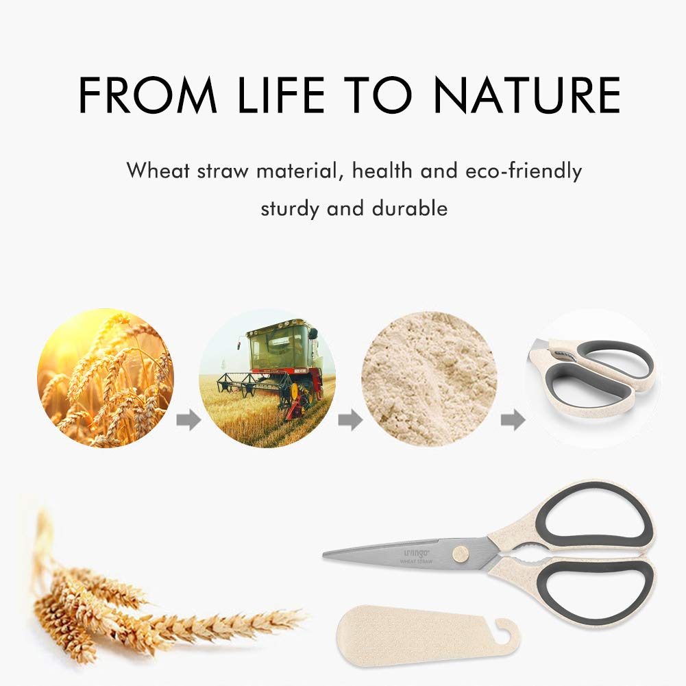 Kitchen Scissors Heavy Duty 2-Pack, LIVINGO Stainless Steel Kitchen Shears Come Apart, 8 Inch Dishwasher Safe Food Scissors for Cutting Chicken, Poultry, Wheat Straw Sharp Utility Cooking Scissors