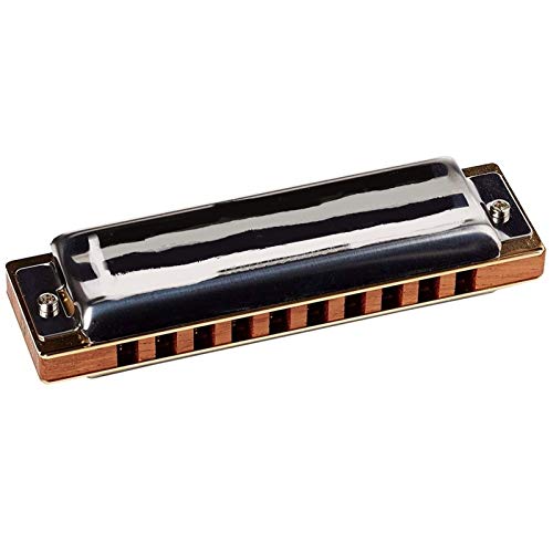 WAAZVXS Harmonica Blues Harp Diatonic Harmonica 10 Hole 20 Tone Musical Instruments Mouth Organ Key C