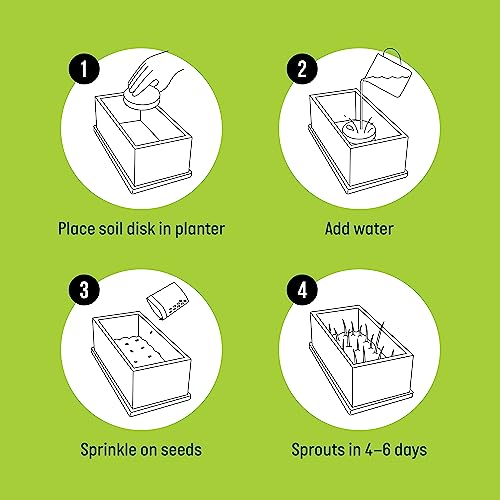 The Cat Ladies Organic Cat Grass Growing kit with Organic Seed Mix, Soil and Ceramic Planter with Bamboo Tray. Natural Hairball Control and Remedy for Cats
