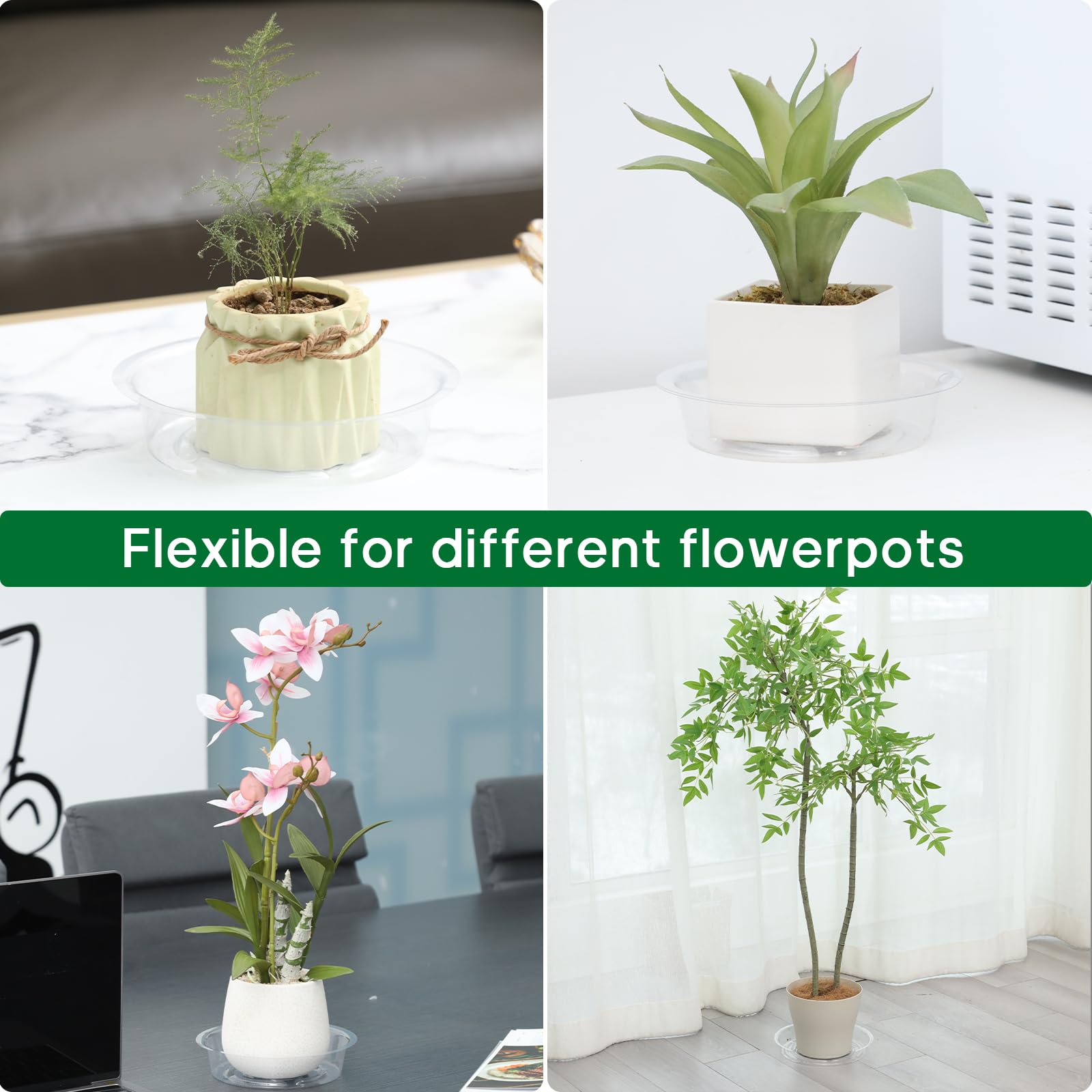 REXOS 40 Pack 6 Inch Clear Plant Saucers, Durable Plant Trays for Pots, Plastic Plant Pot Saucers for Indoors & Outdoors
