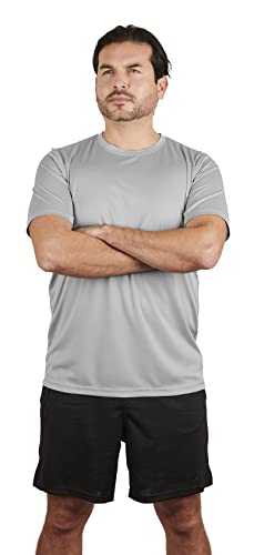 Men's Short Sleeve Moisture Wicking Active T-Shirts (Standard, Large, Gray)