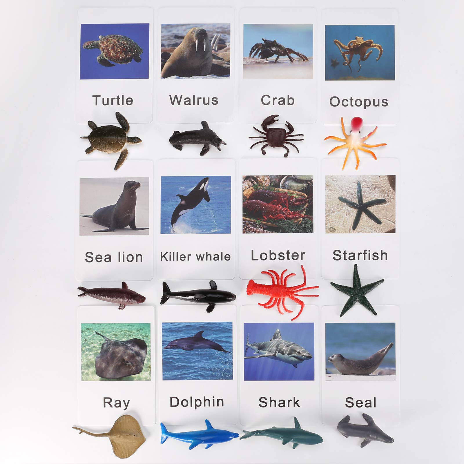 LOGANUSJ 48 PCS Montessori Marine Insects Poultry and Zoo Animals Figure Match 4 Sets - Matching Cards Montessori Language Materials Preschool Learning Toy, Language Materials, Shape Sorting Toy