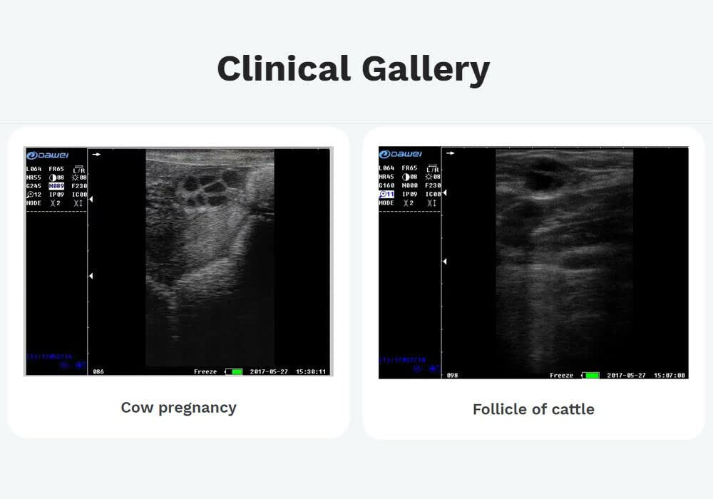 SWR Dawei Vet Ultrasound Machine Portable Veterinary Handheld Scanner B-Ultra Sound Lightweight Ultrasound Pregnancy Tester with Waterproof Probe for Pig,Sheep,Dog use (Back Fat Probe)