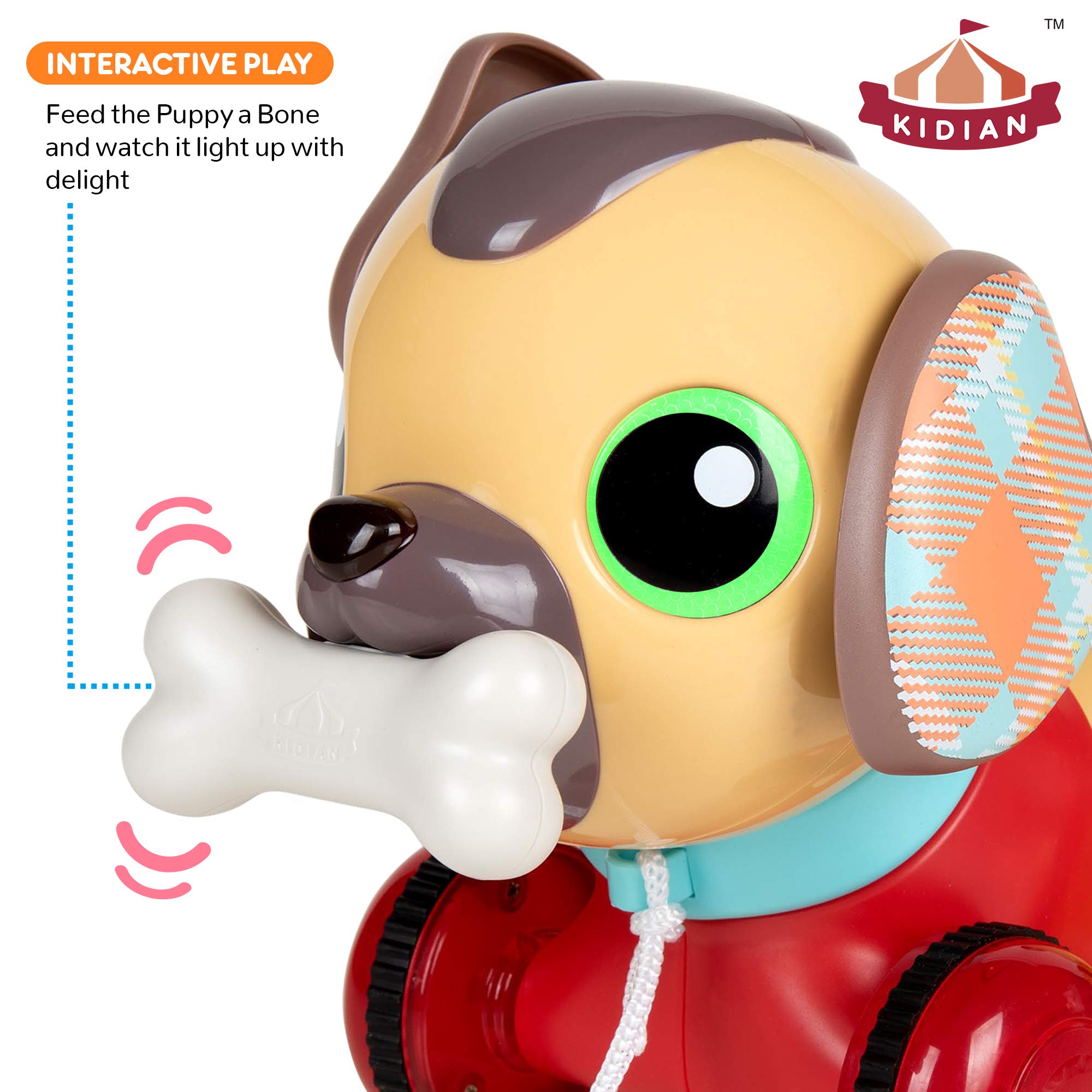 Kidian Toy Dog - Pull Along Dog Toy for Babies and Toddlers, Interactive Pull Along Puppy, Toy Dog for Kids by Flybar (Brown Puppy)