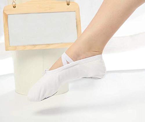 missfiona Women Canvas Ballet Slippers Dance Shoes Adult Practice Yoga Flat Belly Shoes(7, White)