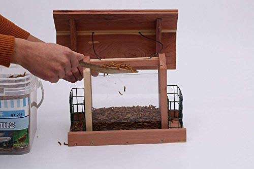 Solution4Patio Homes Garden USA Cedar Bird Feeder Wildbird Essentials Handmade Wooden Outdoor Ranch Patio Yard Tree Hanging with Double Plastic Window and Double Suet Holder Cages Combination #G-8534