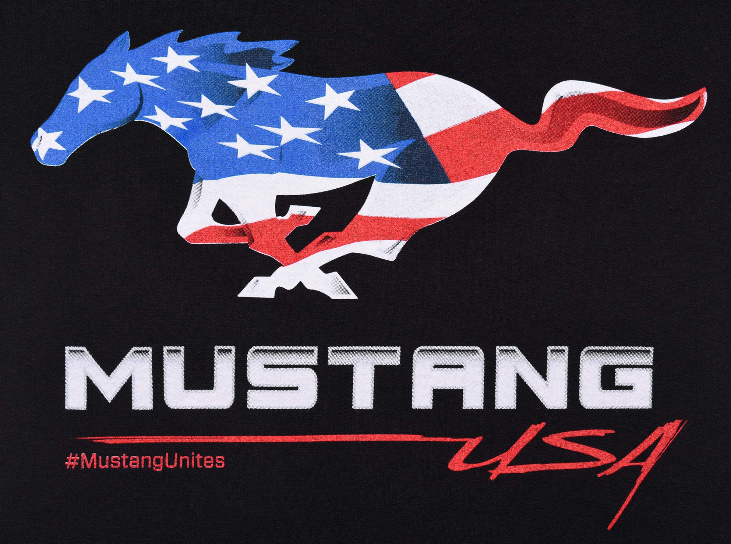 JH DESIGN GROUP Men's Ford Mustang Pullover Hoodie USA Logo Sweatshirt (Small, Black - Blue)