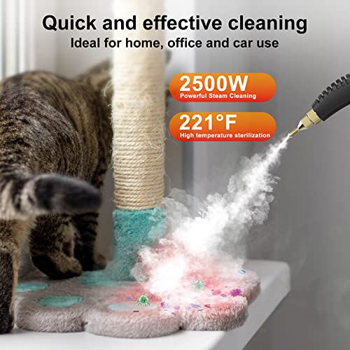 Upgrade Steam Cleaner Handheld, 2500W High Pressure Steam Cleaner for Home Use, Portable Steam Cleaning Machine, Car Steamer with Brushes, Steamer for Cleaning Upholstery Grout Tile Kitchen Bathroom