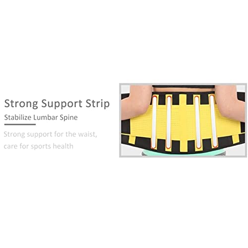 NABTAH Back Support Belt, Adjustable Waist Trainer Belt Back, Lumbar Back Support for Back Pain Relief and Injury Prevention Sciatica Spinal Stenosis Scoliosis or Herniated Disc