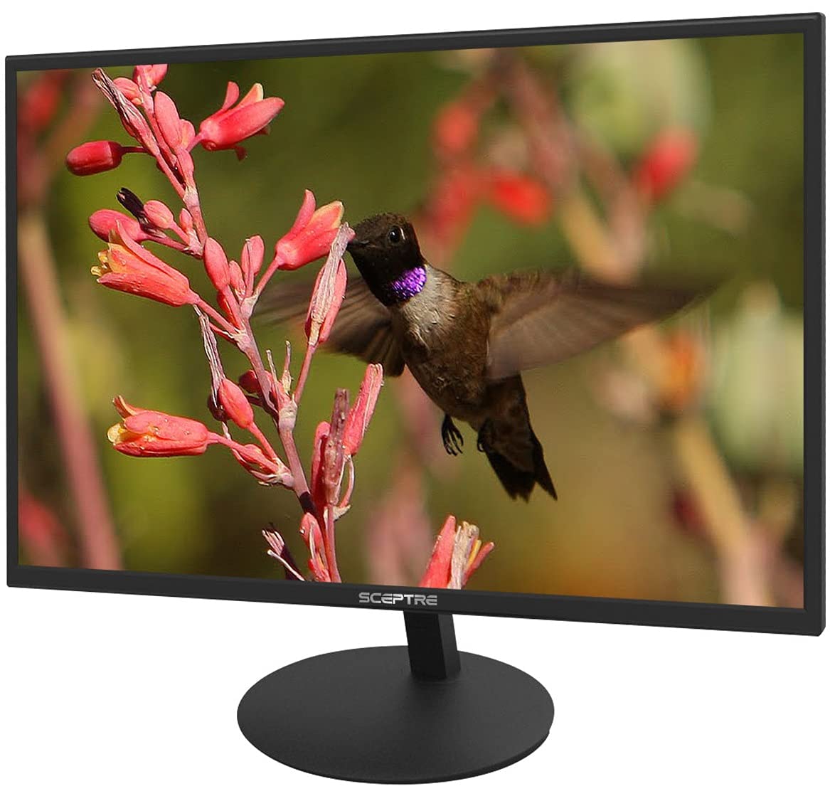 Sceptre 27 inch 1080P LED Monitors (E275W-19203R Series) and (E275W-FPT)