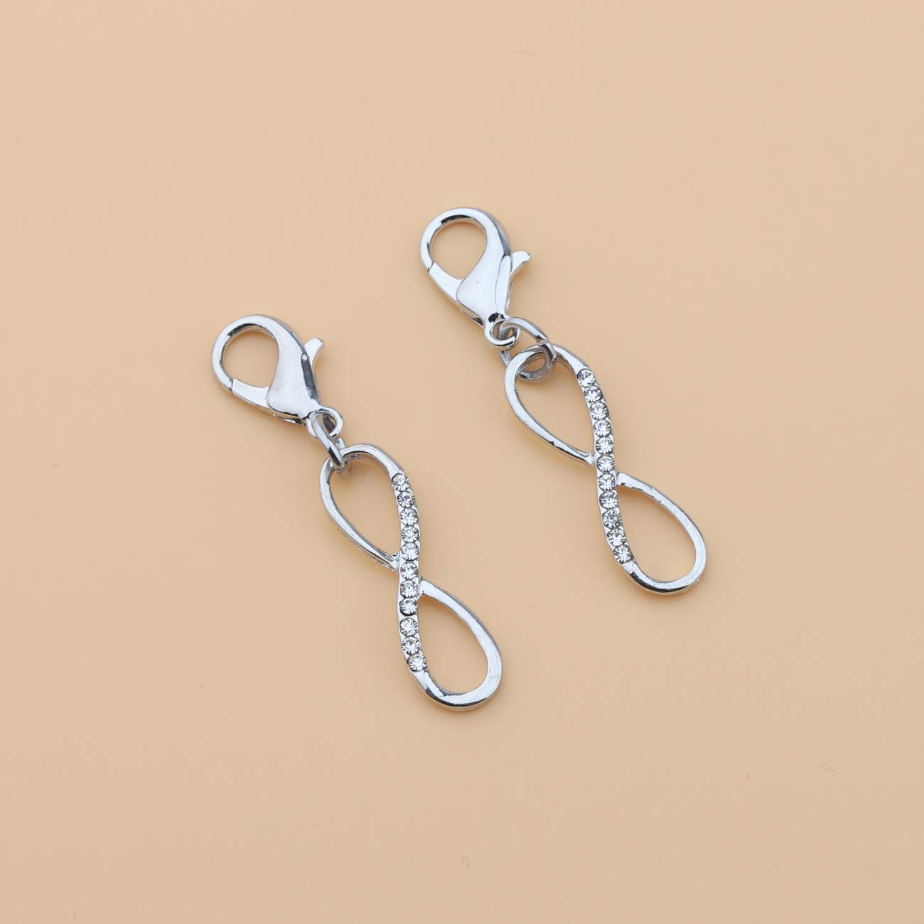 LQRI Infinity Charms Infinity Clip on Charm Infinity Symbol Connectors Charms Pendant Zipper Pull,Charms for Purse,Set of 2 (sliver)