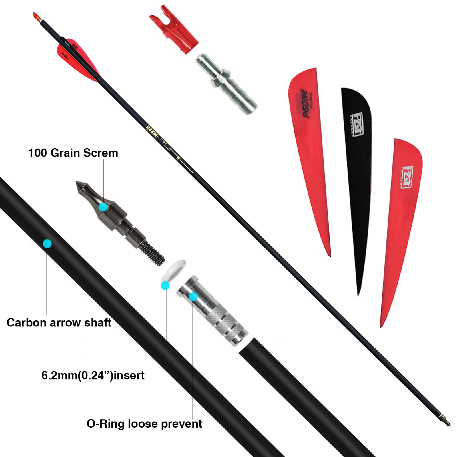 PG1ARCHERY Archery Carbon Arrows 31In Target Practice Hunting Arrows with Removable Nock & Tips Points for Recurve Bow (12Pack) (Red&Black)