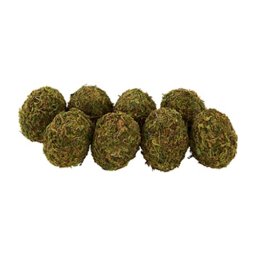 Mud Pie Preserved Moss Egg Filler Set, 4" x 7 1/2", Cream