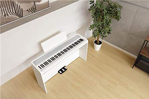 Korg B2SP Digital Piano - Black Bundle with Furniture Stand, Three-Pedal Unit, Bench, Instructional Book, Austin Bazaar Instructional DVD, and Polishing Cloth