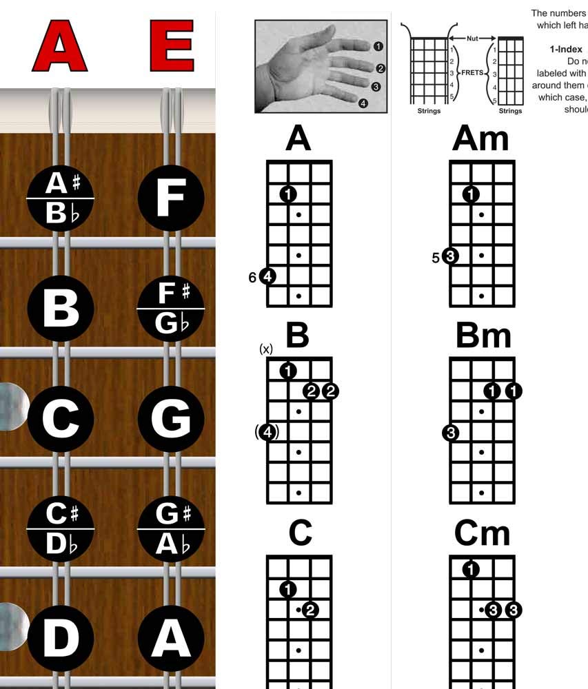 Laminated Mandolin Fretboard Notes & Easy Beginner Chord Chart 11"x17" Instructional Poster by A New Song Music