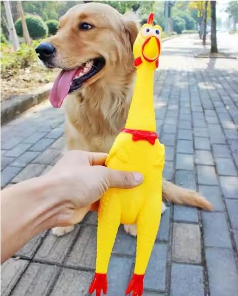 Screamin' Chicken Dog Toy with Squeaker, Durable & Interactive, 15.75 Inch - Perfect for Small, Medium & Large Dogs - American Owned Small Business