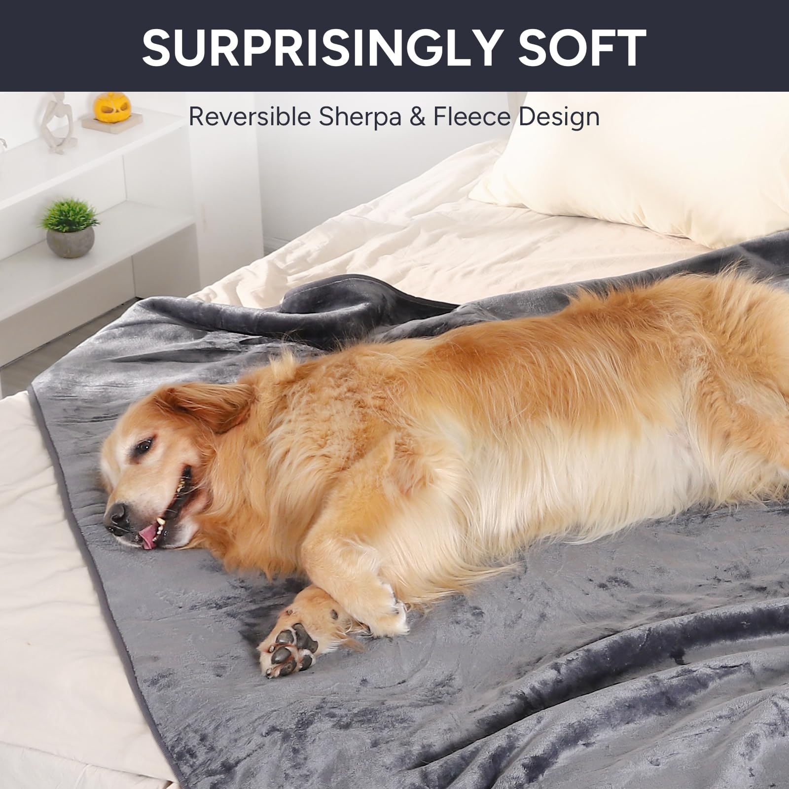 Walverdant Waterproof Dog Blanket for Large Dogs, Dog Bed Cover for Bed Couch Sofa, Liquid Pee Proof Pet Blanket Washable, Soft Reversible Sherpa Fleece Blanket Furniture Protector(Gray, 80"x 60")
