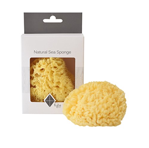 Kyte Baby Natural Sea Sponge, 4 to 5 Inches