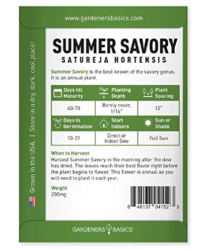 Summer Savory Seeds for Planting is A Heirloom, Non-GMO Herb Variety- Satureja Hortensis Herb Seeds Great for Indoor, Outdoor, Hydroponic Gardening by Gardeners Basics