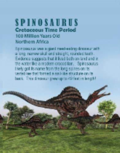 Spinosaurus Dinosaur Tooth Fossil 1.850 inch w/Info Card #17417 3o