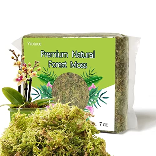 Yilotuce 7 oz Natural Orchid Moss for Potted Plants, Nice Soilless Potting Soil for Seedling and Cutting, Good Idea for Reptile Terrarium, Crafts, Garden Decoration