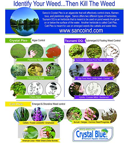 Sanco Industries Catt Plex Herbicide - Aquatic Grade - Works on Cattails, Pond Weeds, Water Lilies, Grass - One Quart 32oz