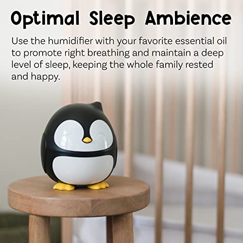 Sweet Dreams 4-in-1 Sleep Machine for Baby, Newborn, Toddlers & Kids β Humidifier with Aroma Diffuser for Nursery, Sound Machine for Sleeping
