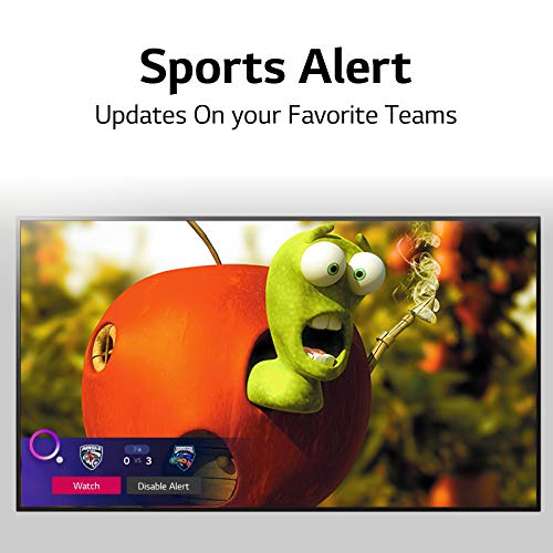 LG 65UN7300PUF Alexa Built-In UHD 73 Series 65" 4K Smart UHD TV (2020)