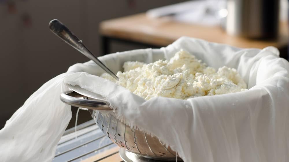 LOVARE Meito Rennet for Cheese Making - Cheese Making Enzymes - Rennet for Making Fresh Cheese 4 x 1 gr. (for 105 gallons/400L of milk) by QG group