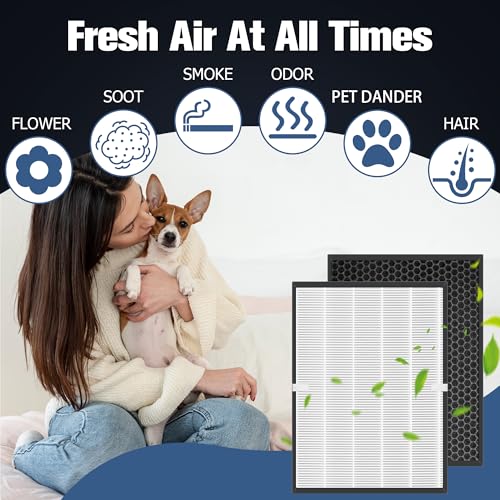 ROMON 2 Pack TT-AP003 Replacement Filter Compatible with TaoTronics TT-AP003 and VIVOSUN 5-in-1 Air Purifiers, H13 Grade True HEPA and Activated Carbon Filter