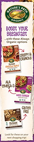 Nature's Path, Organic Gluten-Free Crunchy Vanilla Cereal, 10.6 Oz