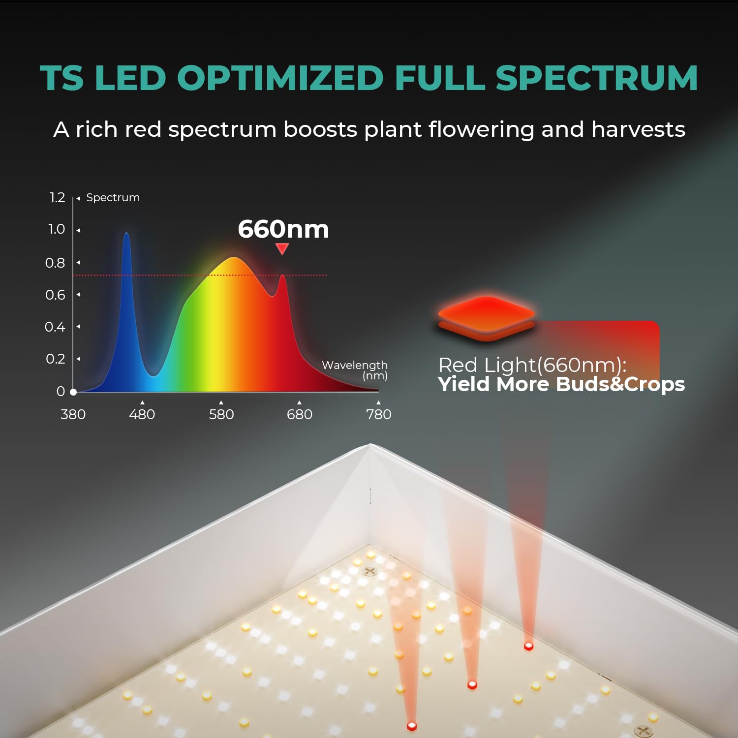 MARS HYDRO 2024 New TS1000 150W LED Grow Light for Indoor Plants, Patented Reflector Dimmable Lights Daisy Chain Full Spectrum Growing Lamps for Seedlings Veg Bloom in 2x2/3x3 Grow Tent