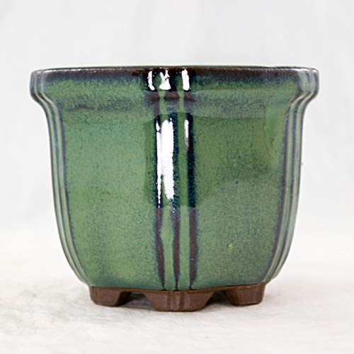 Semi-Cascade Hexagon Dark Green Shohin Bonsai Pot w/Mesh - 4.25"x 4.25"x 3.25"