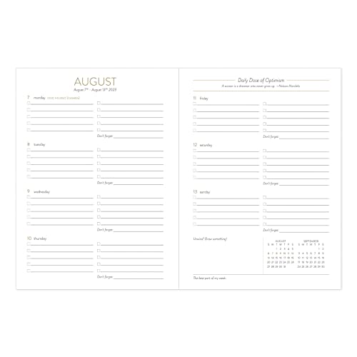Legacy Pretty Petals Blue 8.5 x 7.25 Paper Seedlings 17 Month 2023-2024 Faith Planner