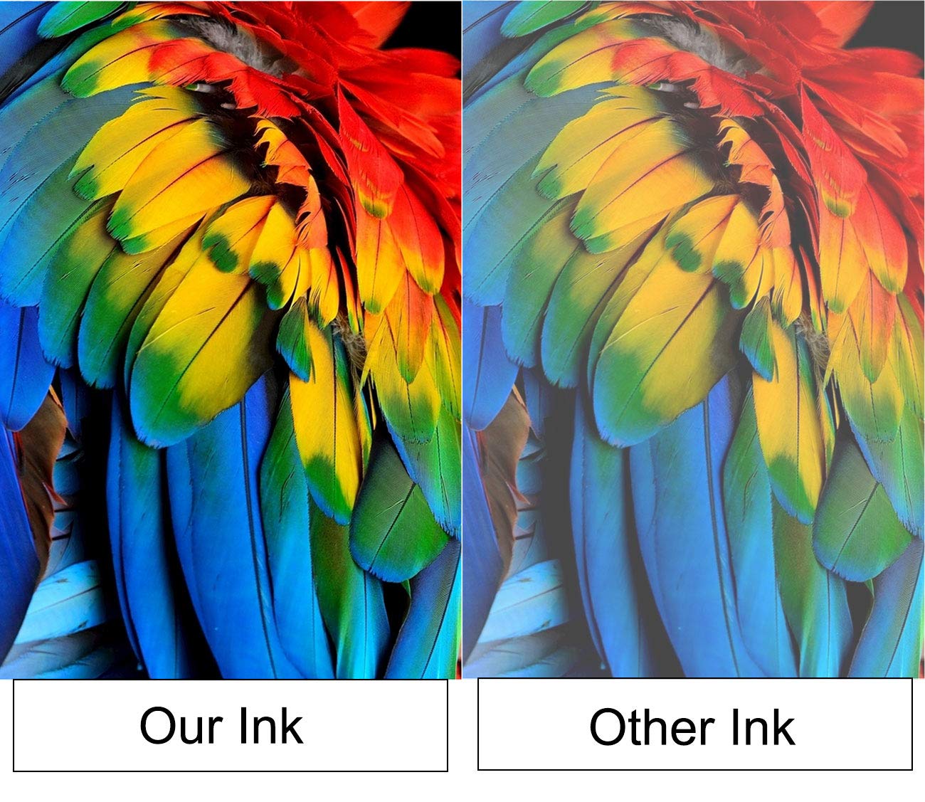 Luckyink Sublimation Ink Refill for Ecotank ET2720 ET2760 ET4700 WF7710 WF7720 WF7210 WF3640 WF3620 WF7110 C88 C88+ Printer Heat Press Transfer on Cloth, Pillow Case, Cap, Bag with sublimation printer