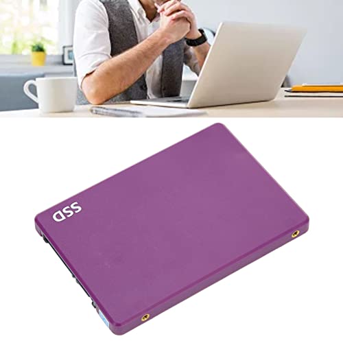 SSD, Ultra Low Power 2.5 inch SSD Single Level Cell Caching Technology for PC for Desktop Laptop for Laptop 300500MS