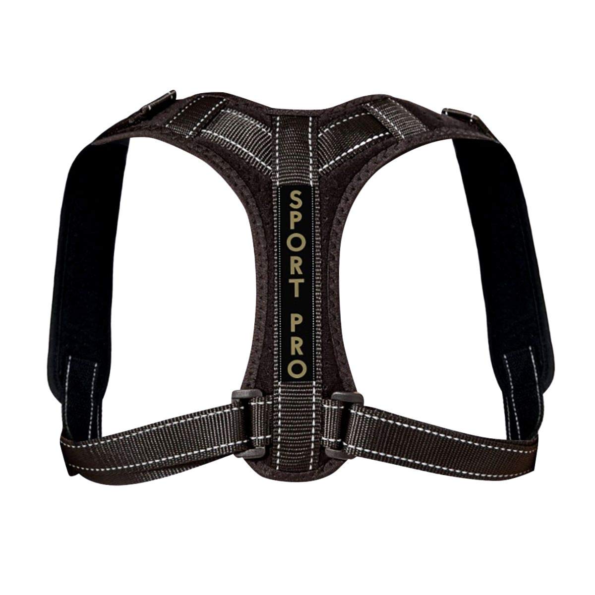 KNIGHTLEY ROSE Posture Corrector, Lightweight Premium Upper Back Support (L/XL)
