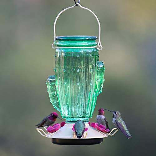 Perky-Pet 9111-1SR Cactus Top Fill Glass Hummingbird Feeder with Built-in Bee Guards & Removable Perches - 32 oz Outdoor Garden Décor Hummingbird Feeder
